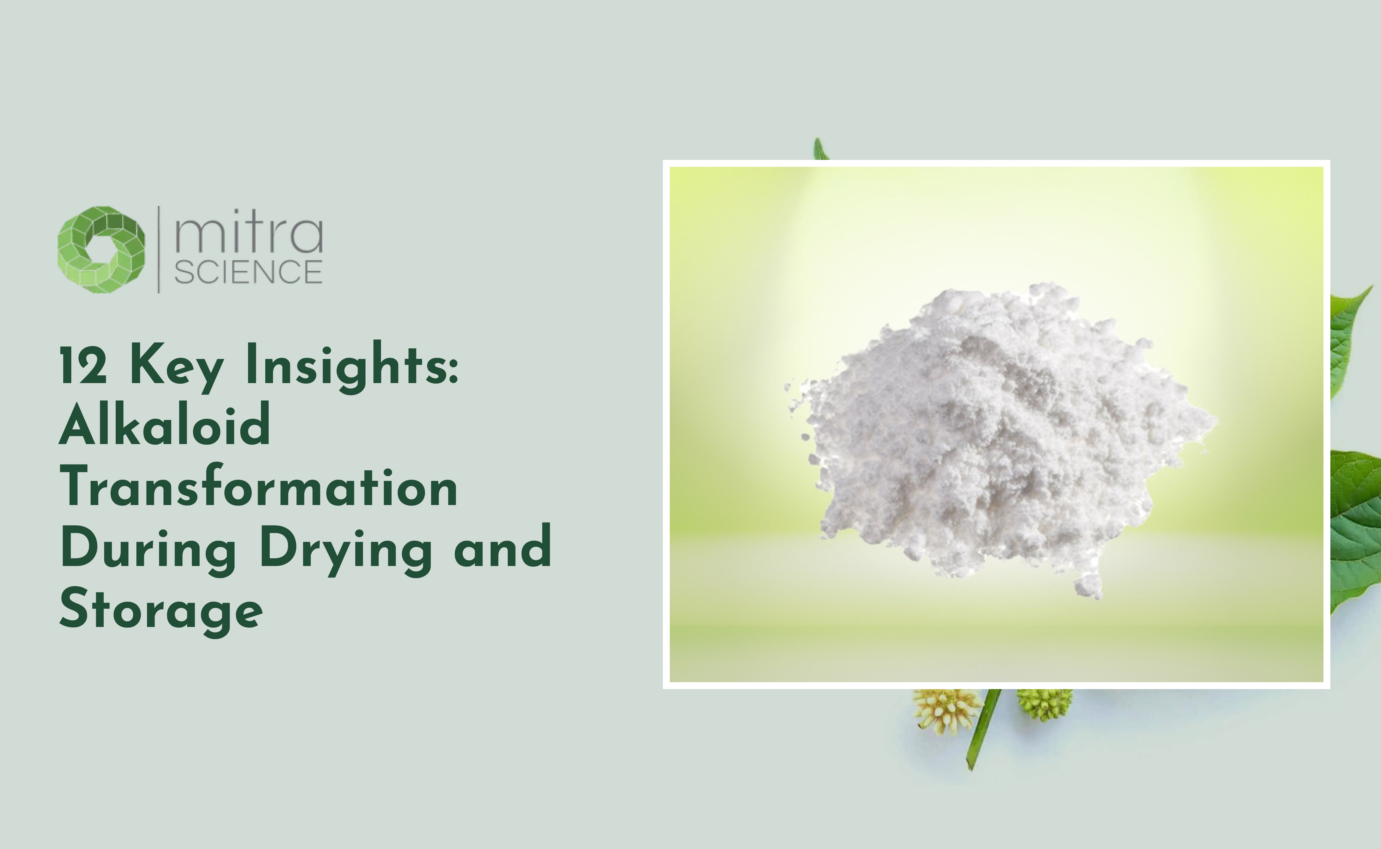 12 Key Insights: Alkaloid Transformation During Drying and Storage ...