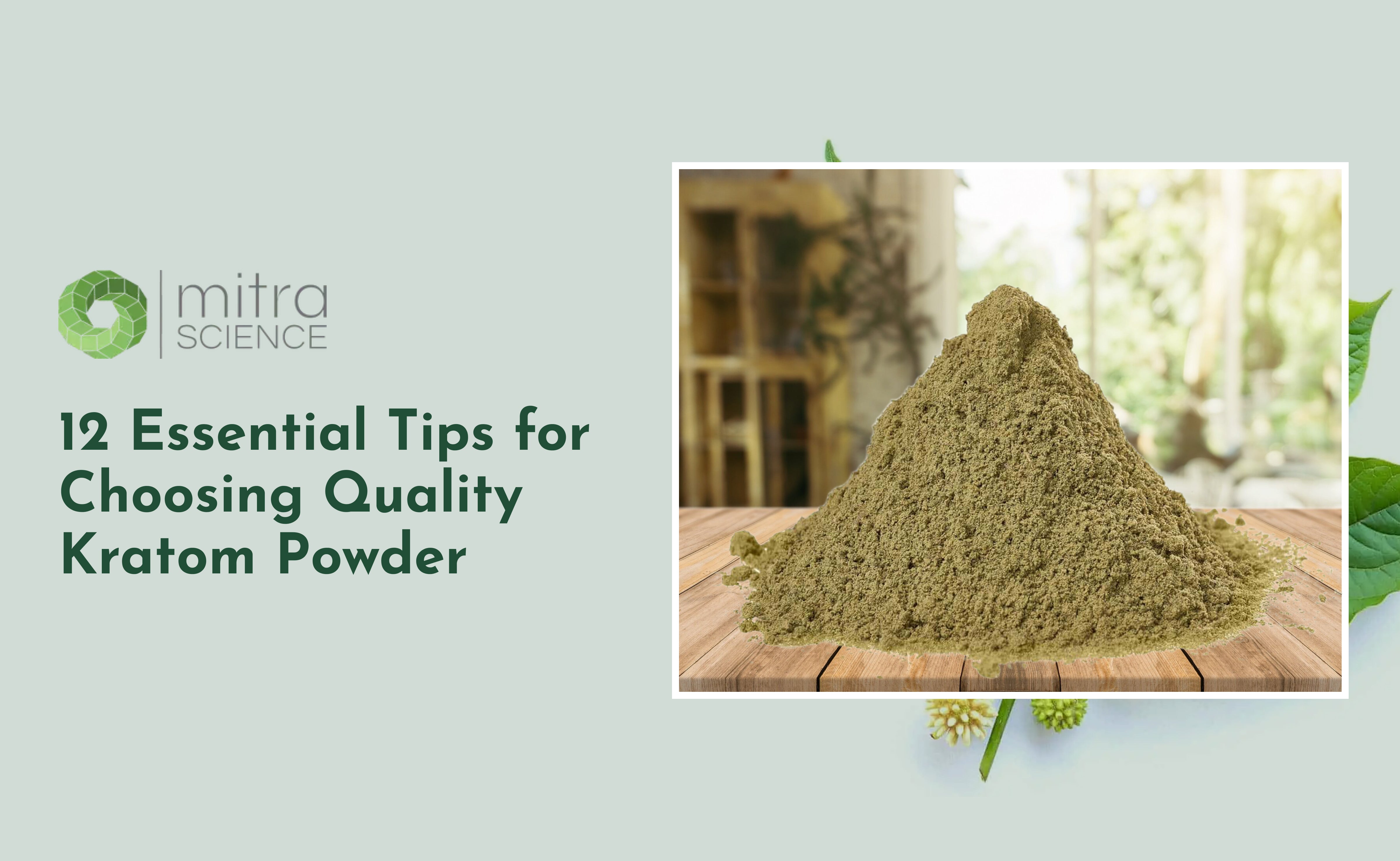 12 Essential Tips for Choosing Quality Kratom Powder – mitrascience
