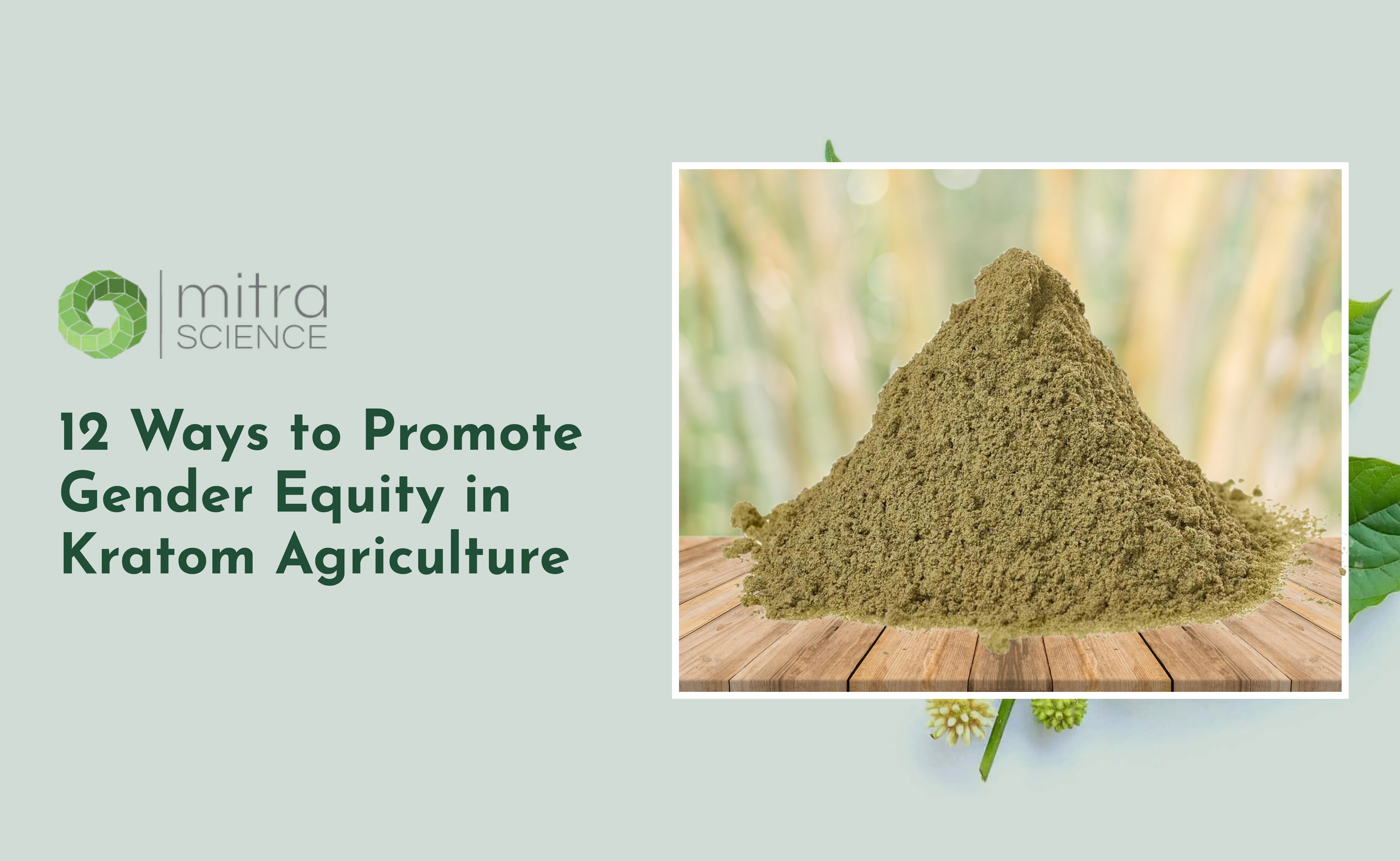 12 Ways to Promote Gender Equity in Kratom Agriculture – mitrascience