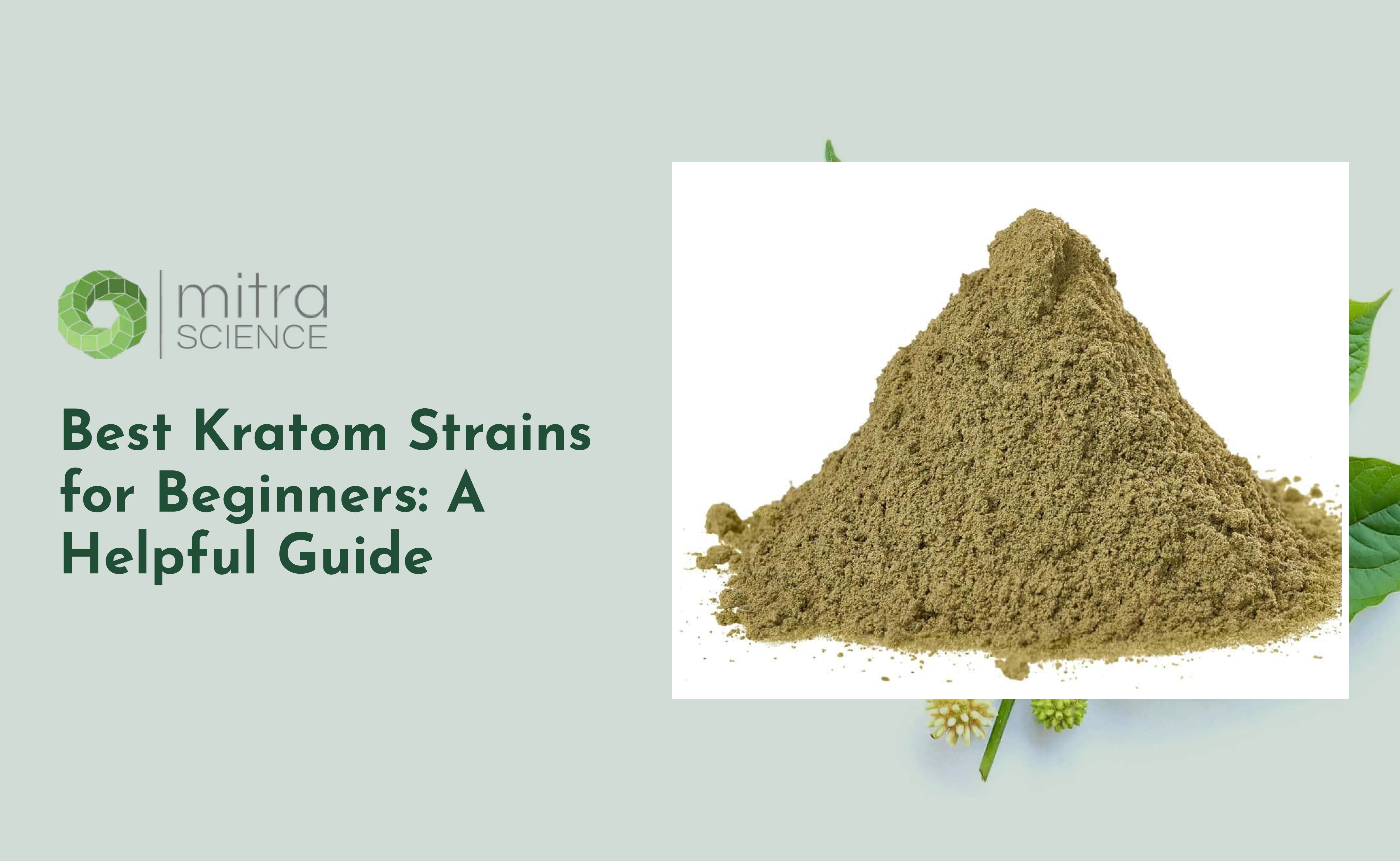 Best Kratom Strains for Beginners: A Helpful Guide – mitrascience