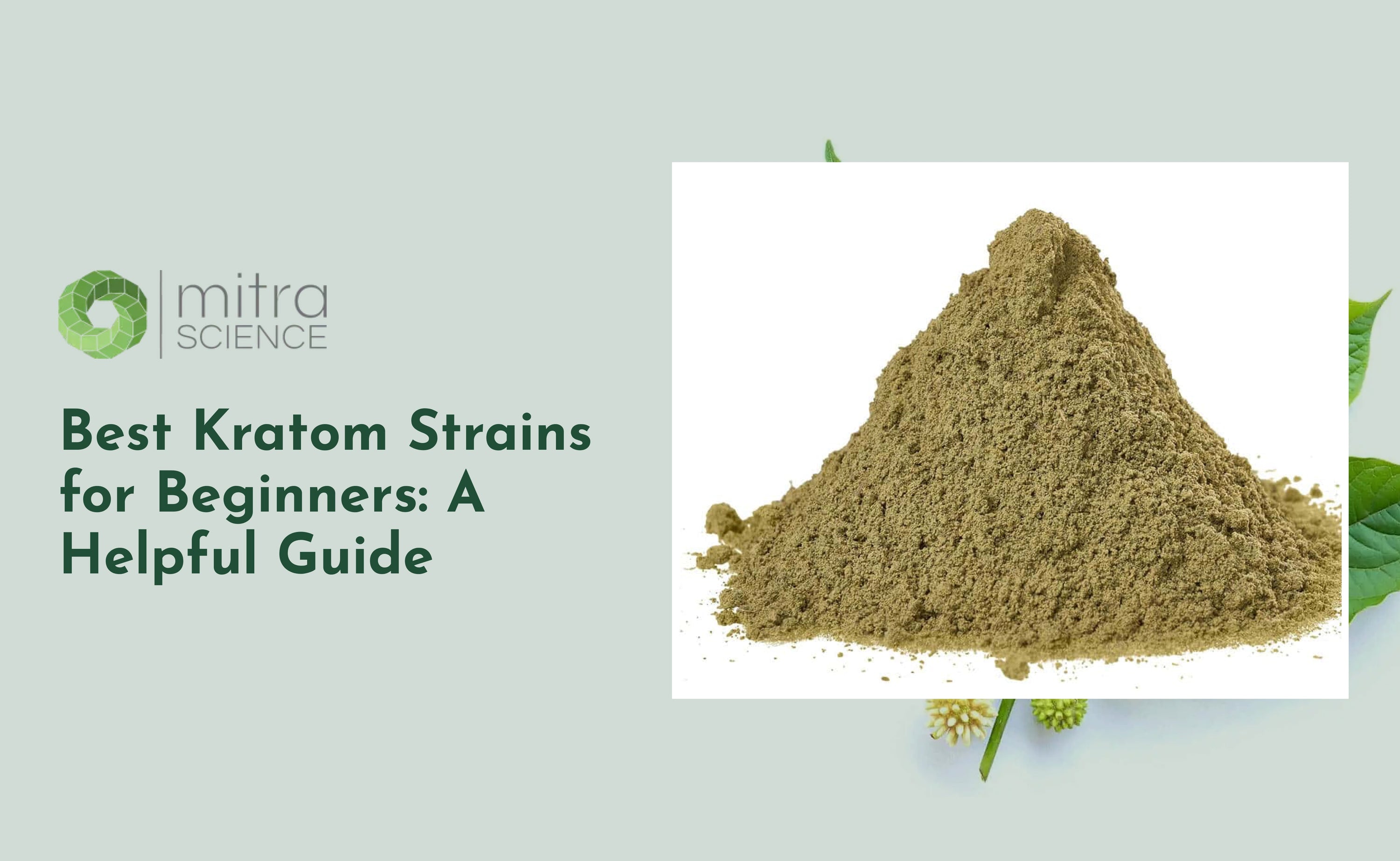 Best Kratom Strains for Beginners: A Helpful Guide – mitrascience