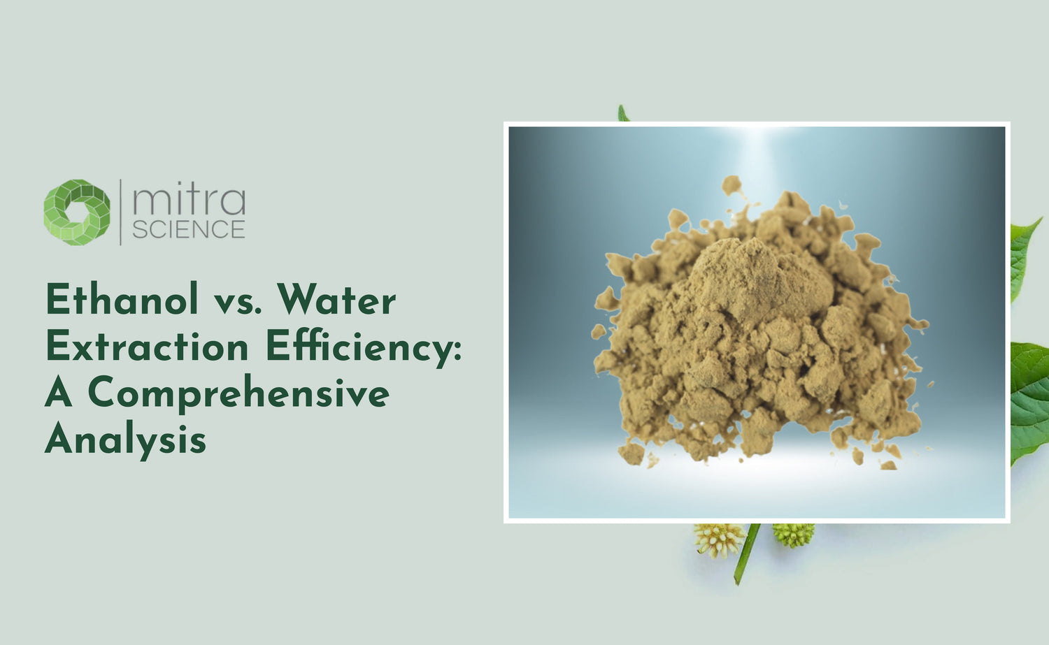 Ethanol vs. Water Extraction Efficiency: A Comprehensive Analysis ...