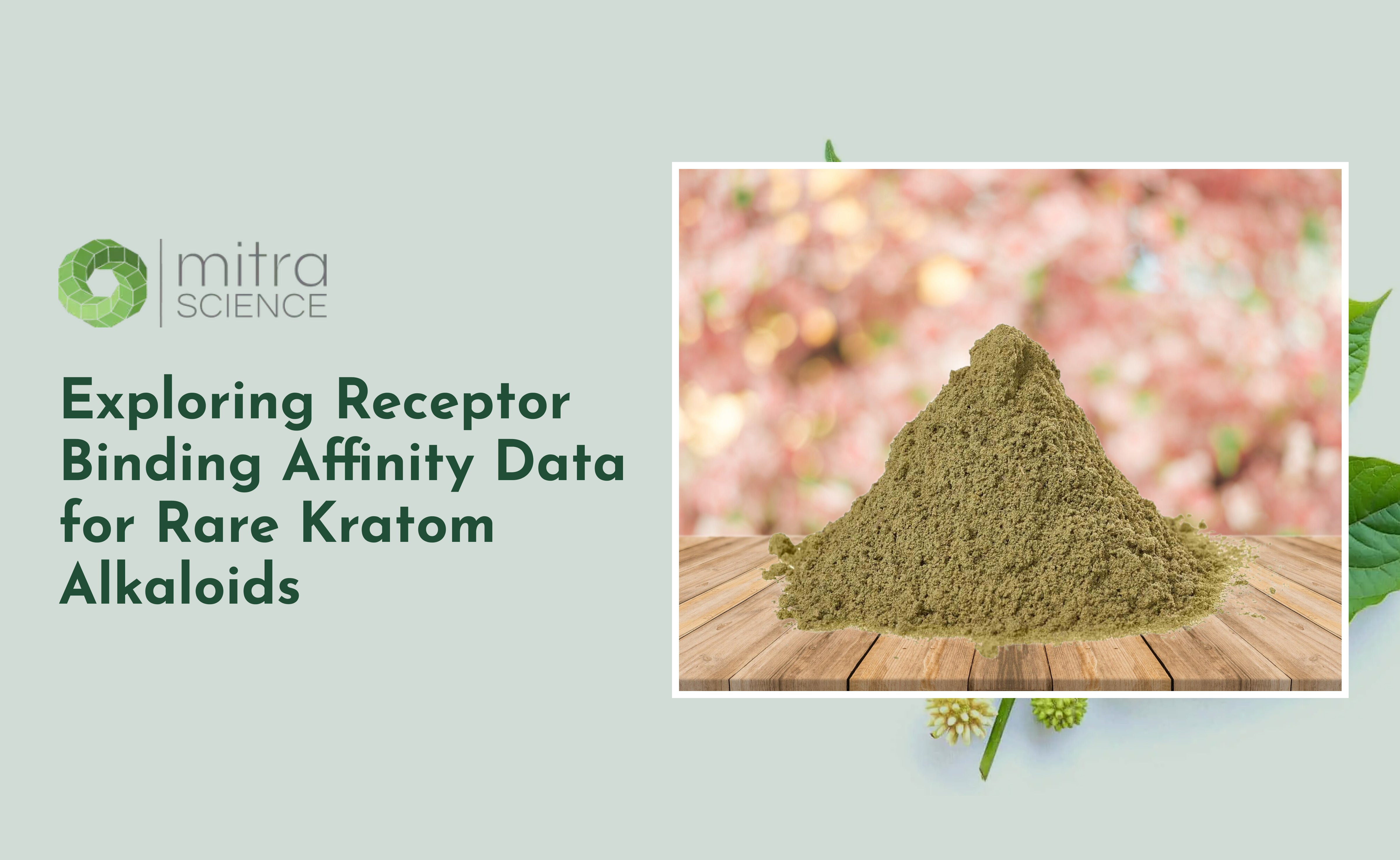 Exploring Receptor Binding Affinity Data for Rare Kratom Alkaloids ...