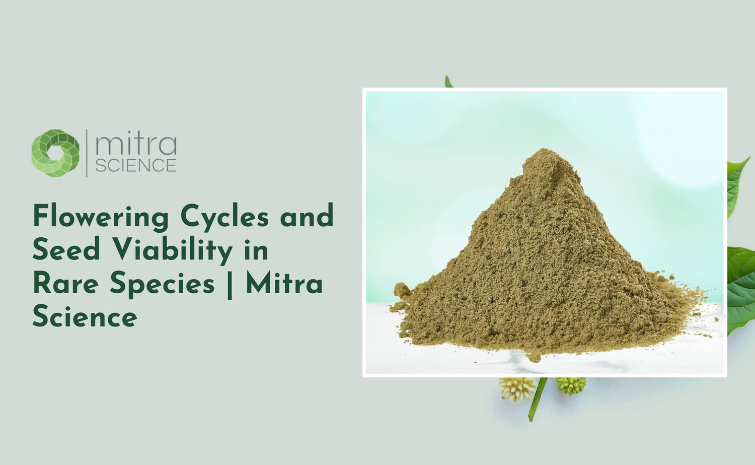 Flowering Cycles and Seed Viability in Rare Species | Mitra Science ...