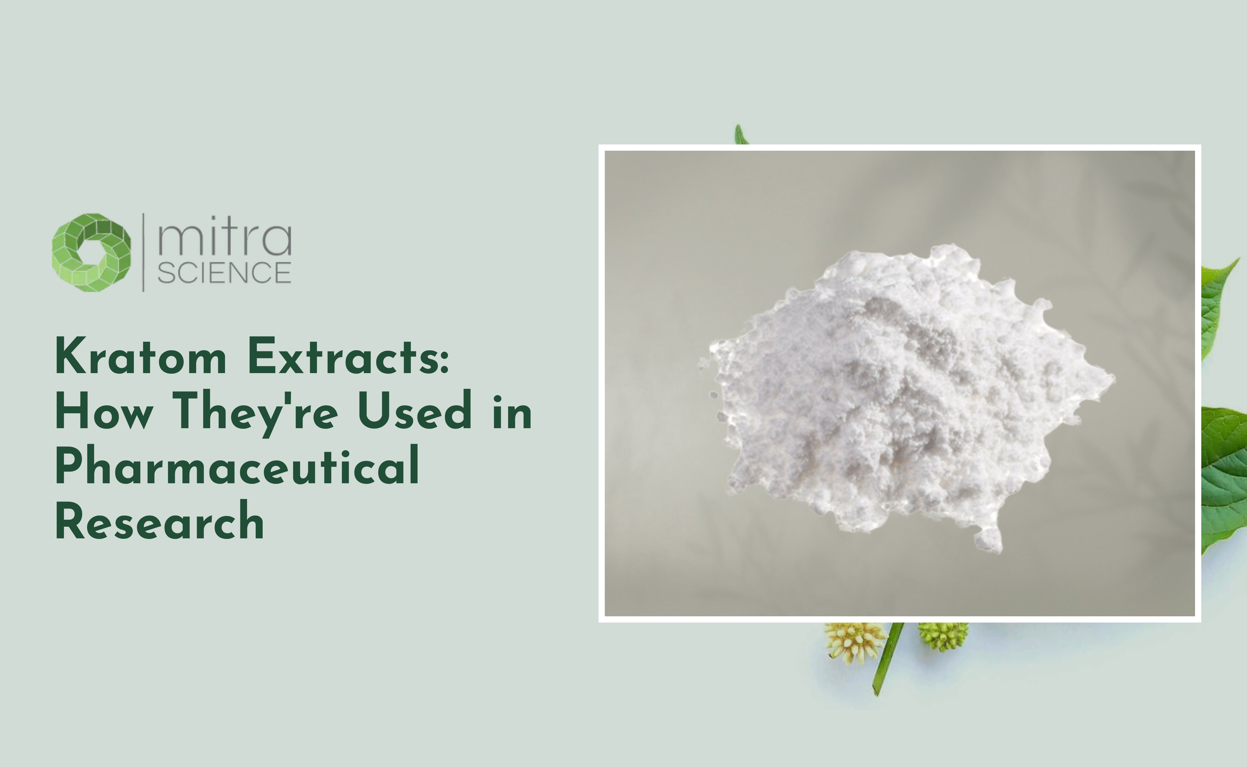 Kratom Extracts: How They're Used in Pharmaceutical Research – mitrascience