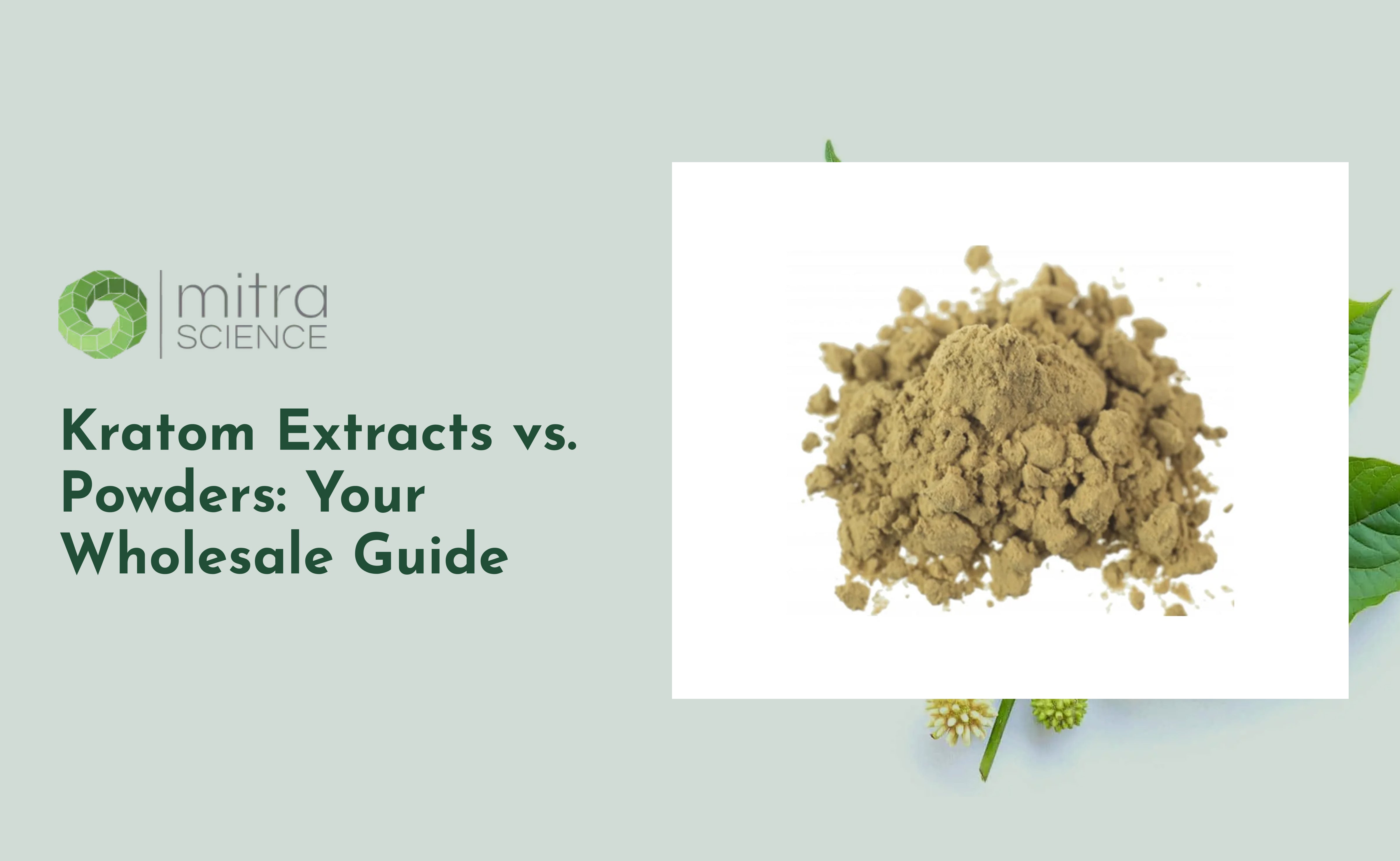 Kratom Extracts vs. Powders: Your Wholesale Guide – mitrascience