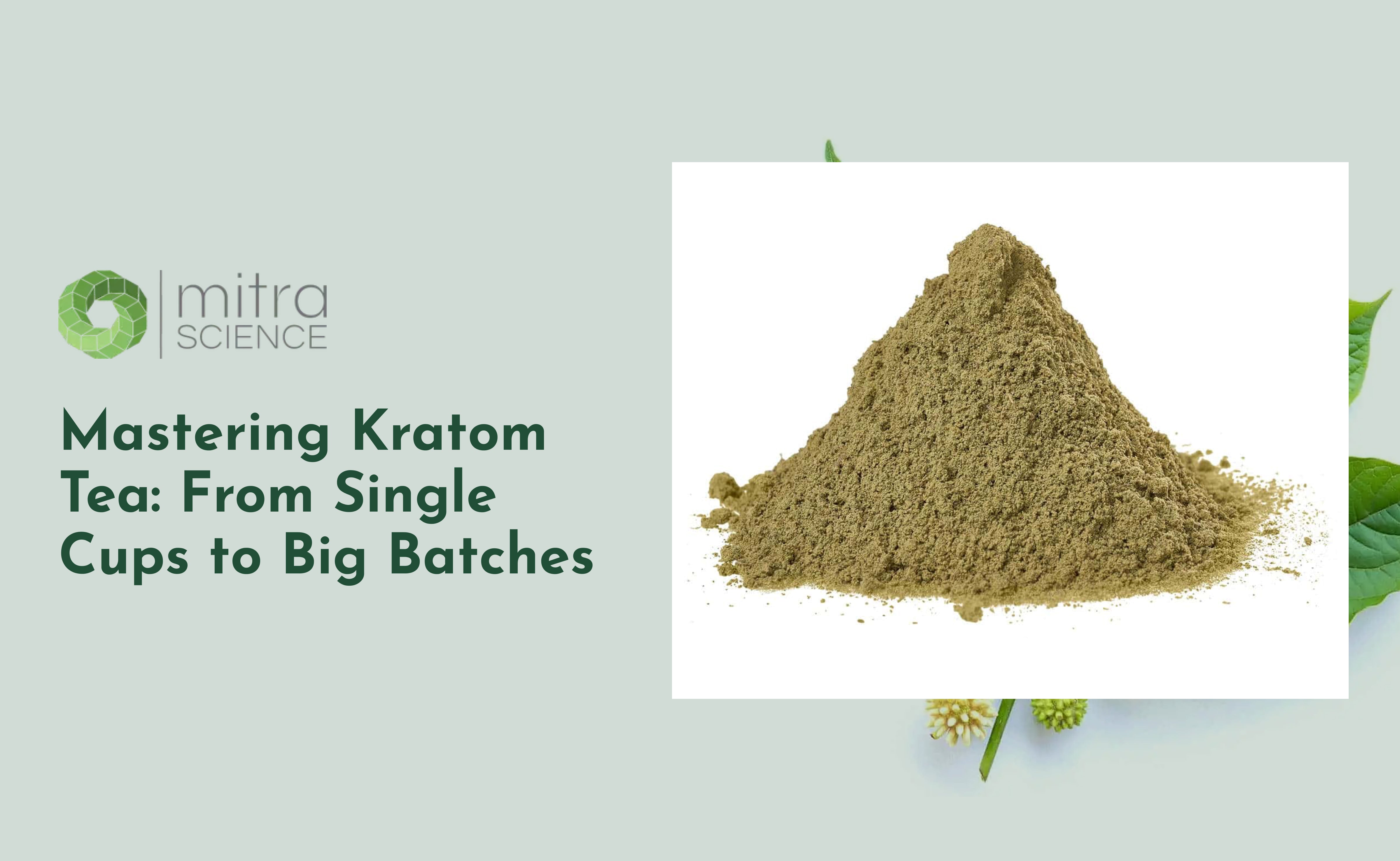Dominar el té de kratom: De las tazas individuales a los grandes lotes ...