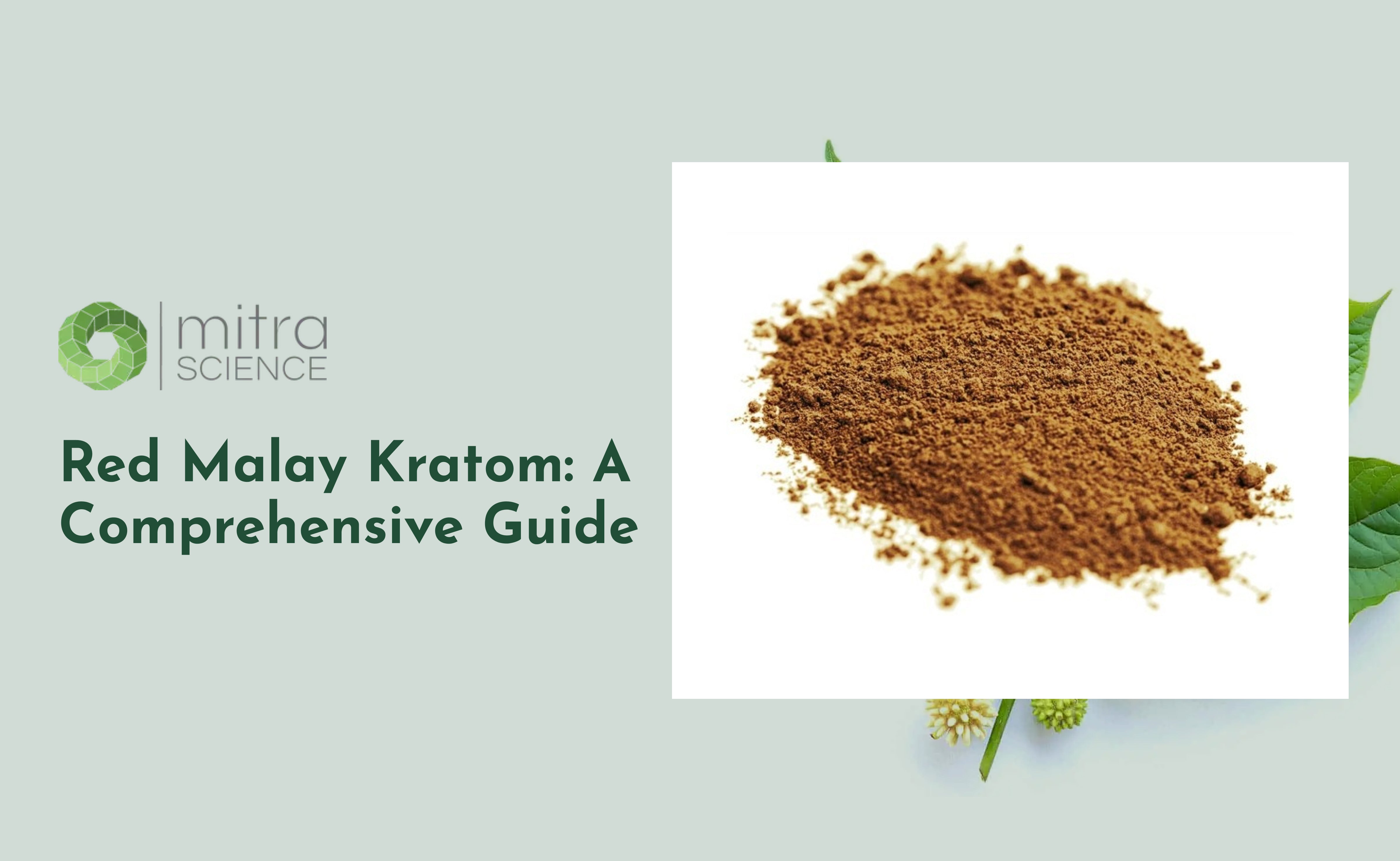 Red Malay Kratom: A Comprehensive Guide – mitrascience