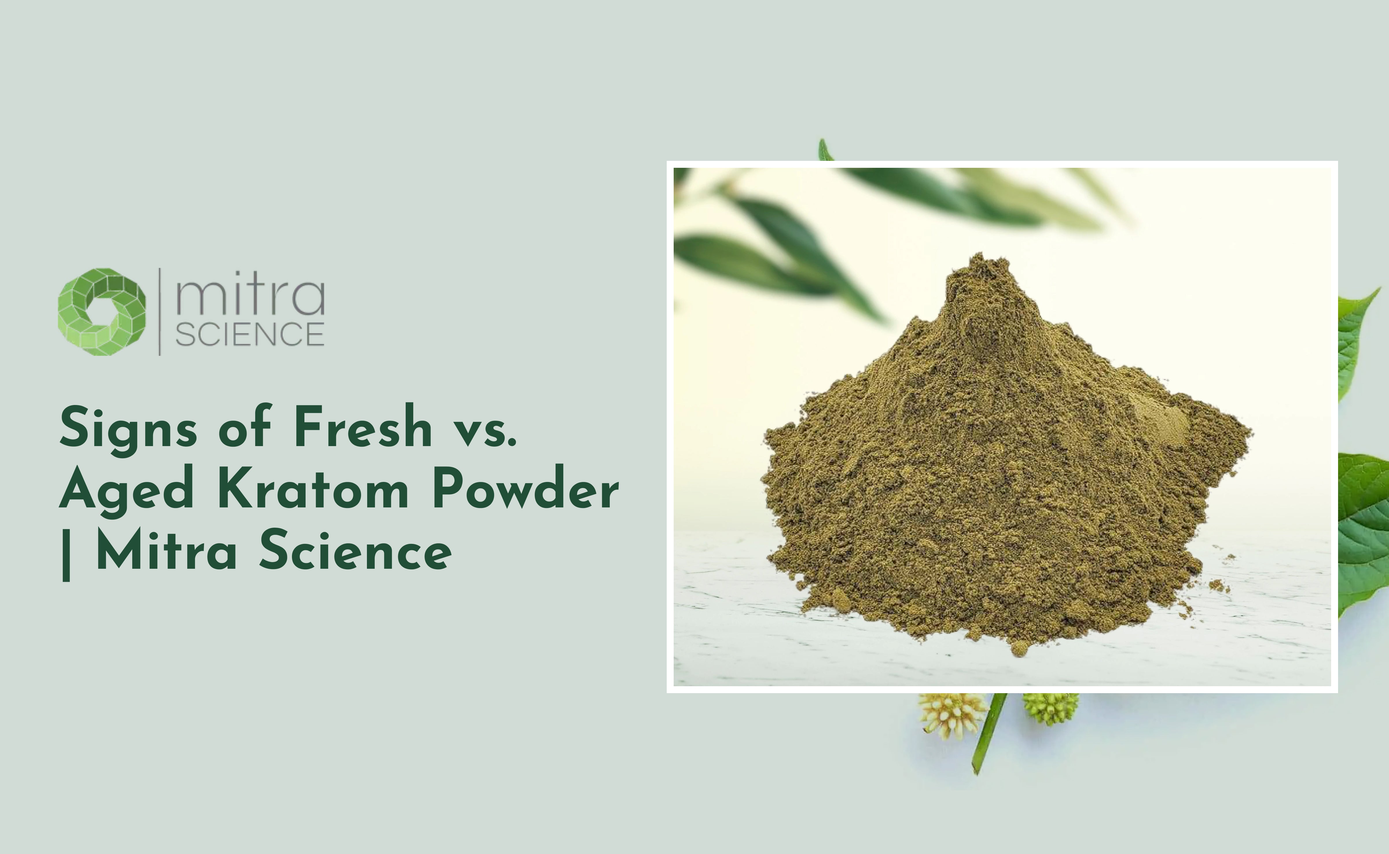Signs of Fresh vs. Aged Kratom Powder | Mitra Science – mitrascience