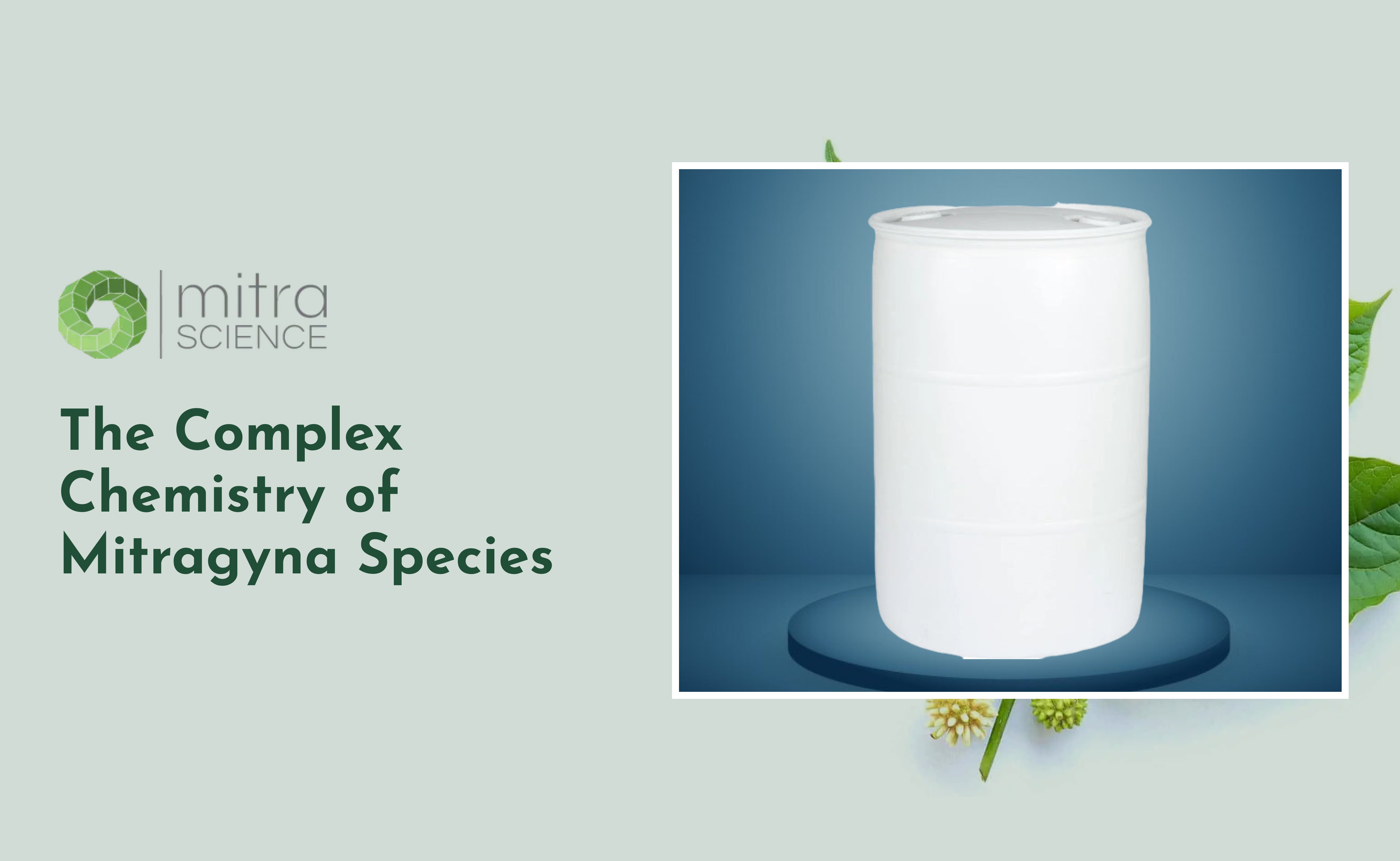 The Complex Chemistry of Mitragyna Species – mitrascience