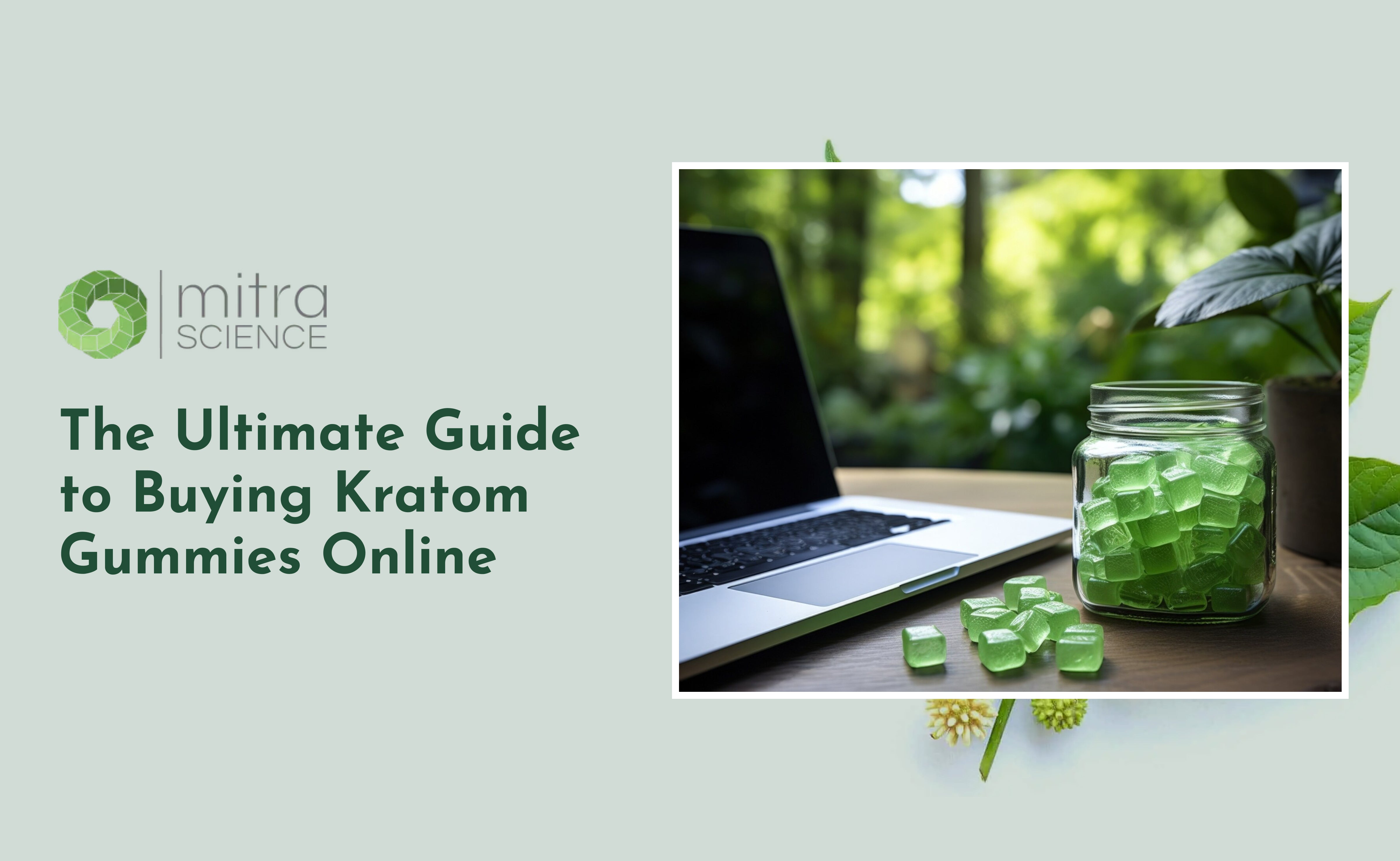 La guía definitiva para comprar gomitas de Kratom en línea – mitrascience