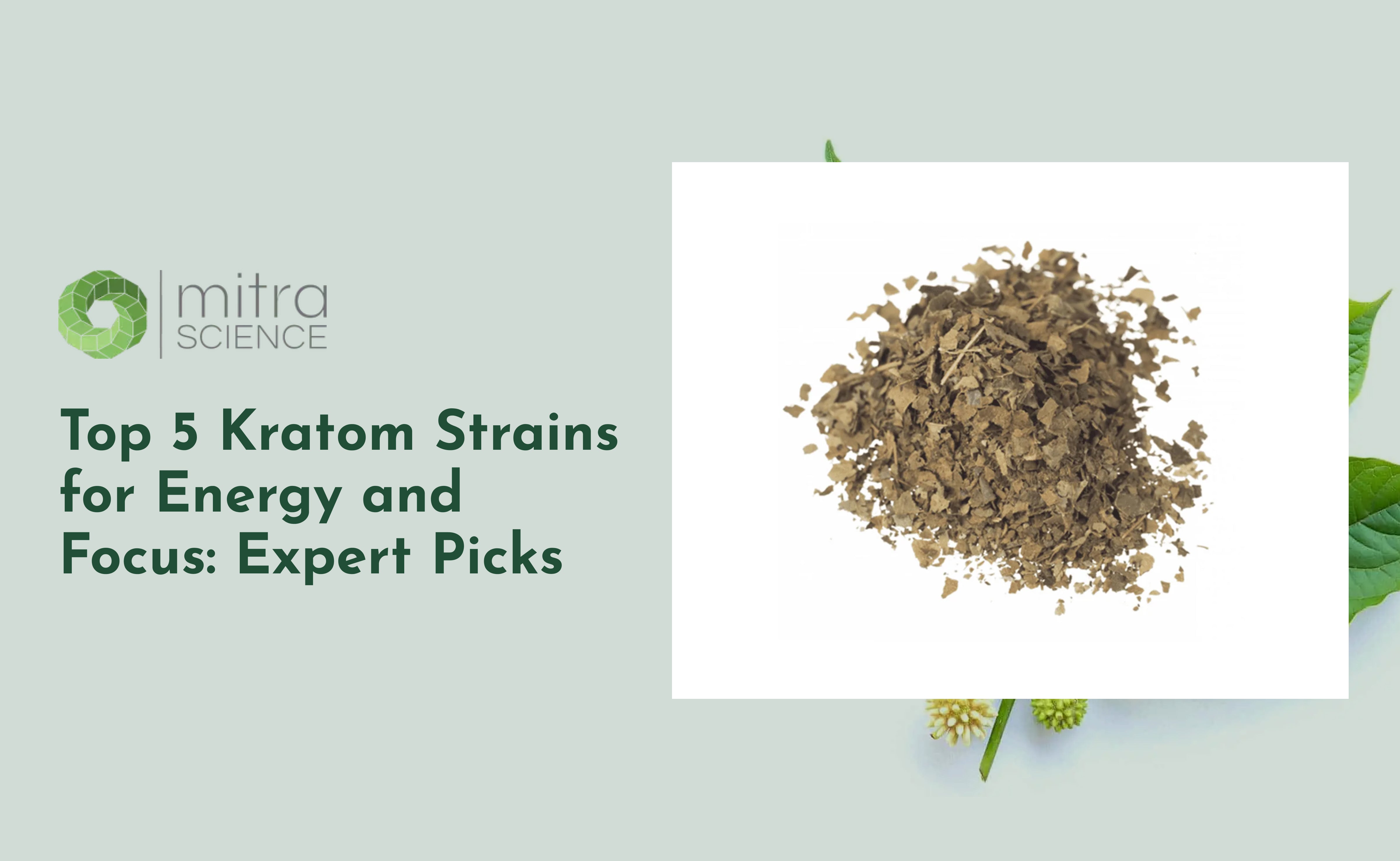 Top 5 Kratom Strains: Expert Picks – mitrascience