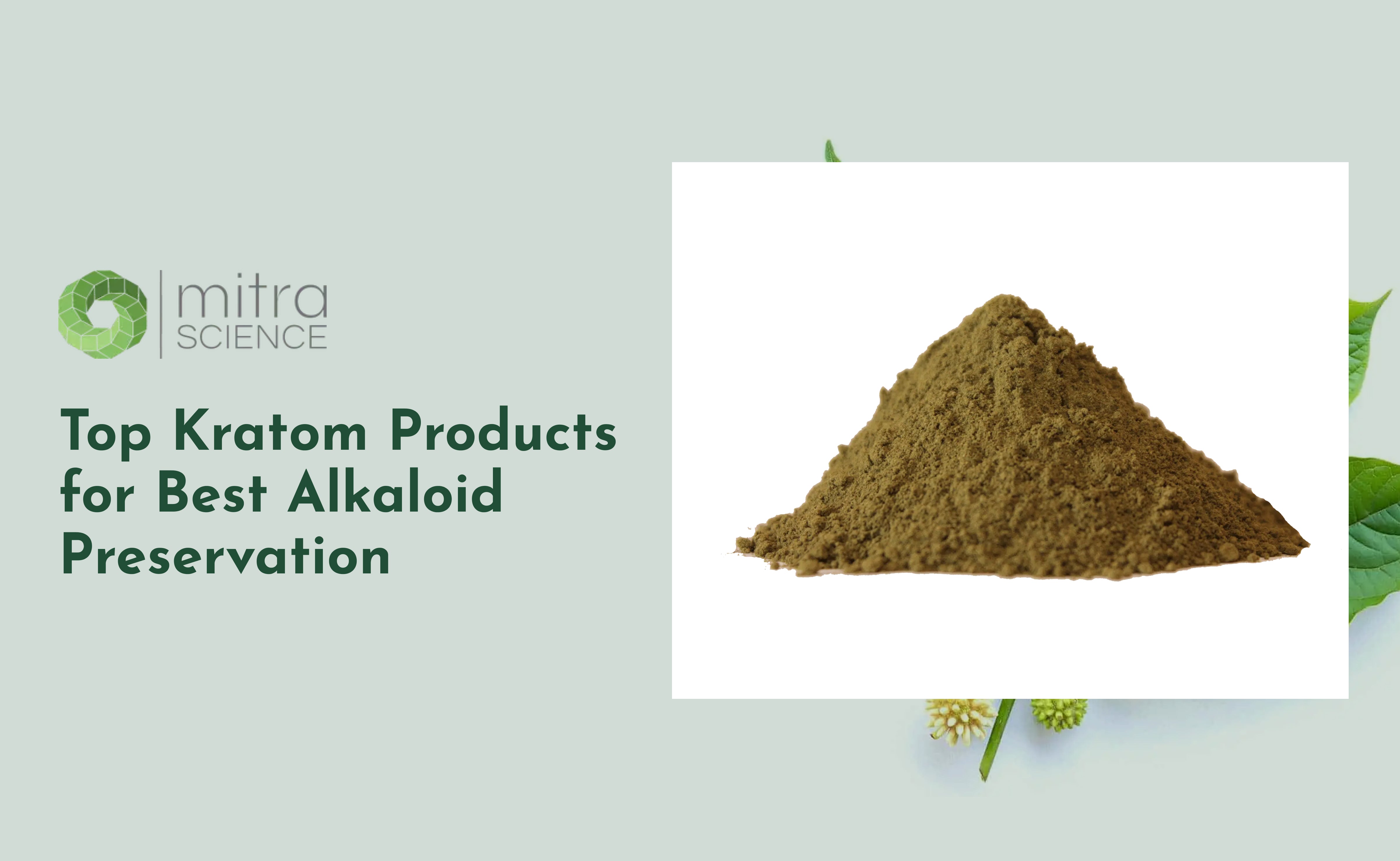 Top Kratom Products for Best Alkaloid Preservation – mitrascience